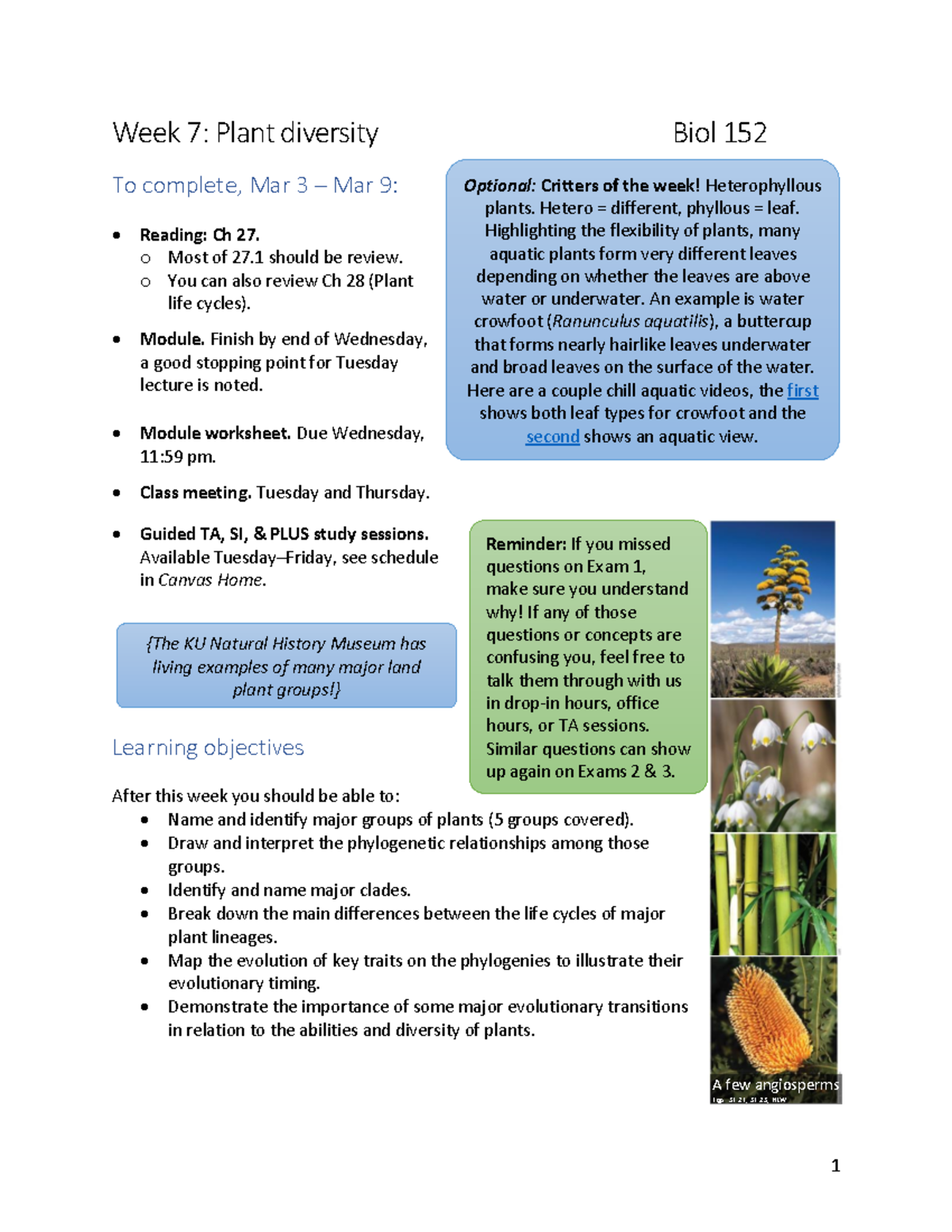Plant Diversity & Life Cycles Overview: BIOL 152 Week 7 Guide - Studocu