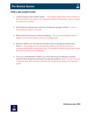 Lab 10 - PRE-LAB QUESTIONS Identify three major similarities and differences between prokaryotic ...