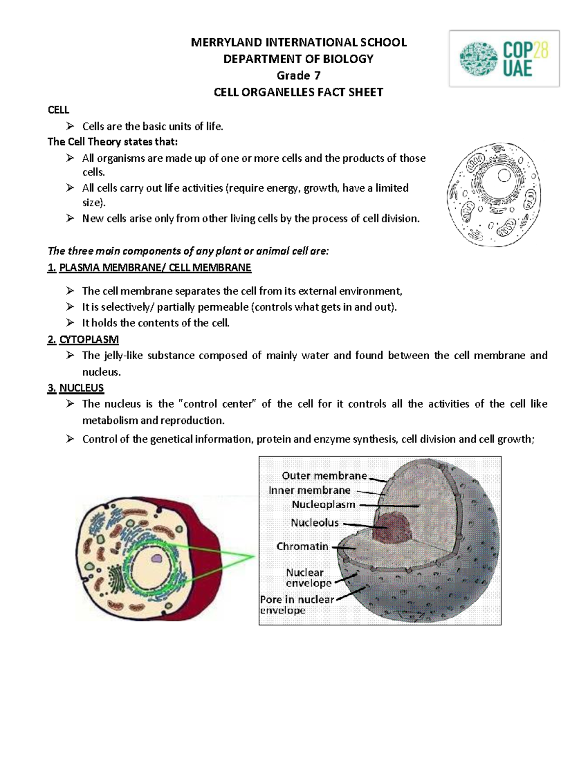 MERRYLAND INTERNATIONAL SCHOOL BIOLOGY G7 CELL ORGANELLES FACT SHEET ...
