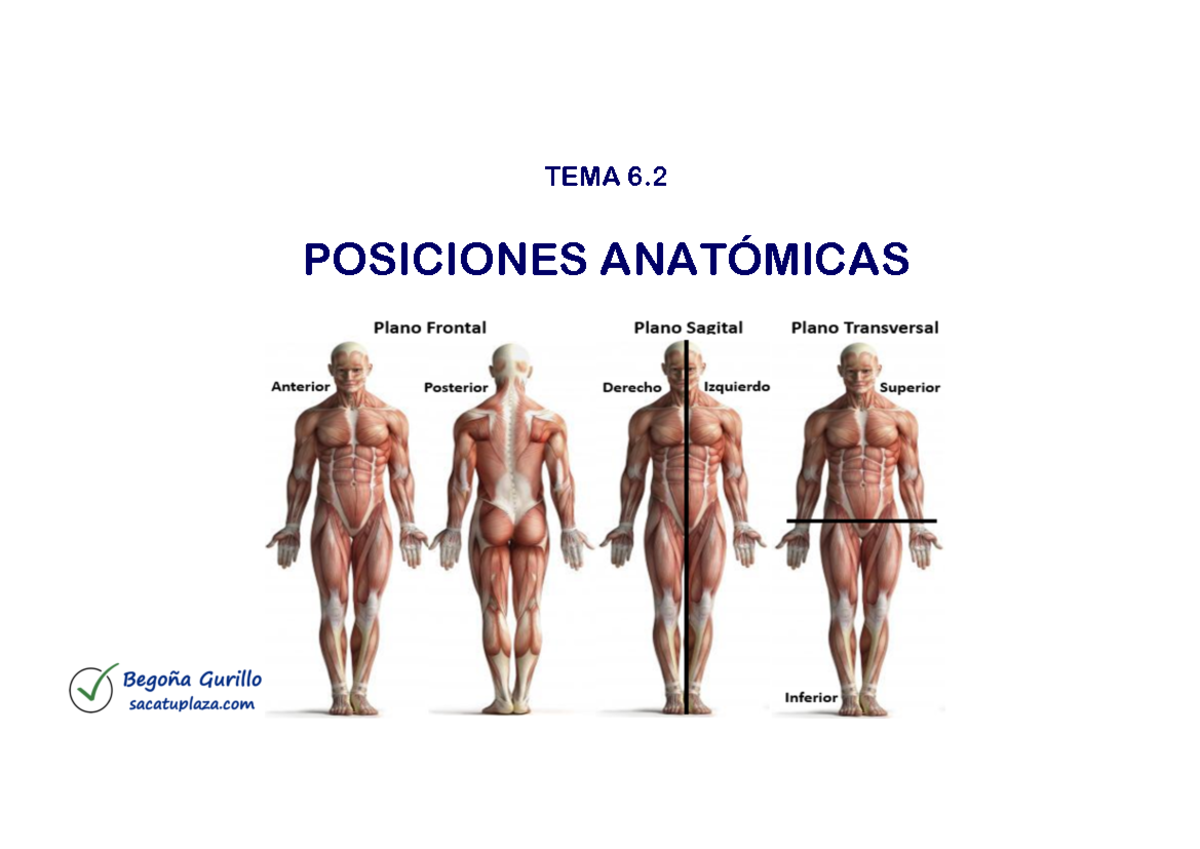 Tema-6.2-Posiciones-anatómicas 1 - POSICIONES ANATÓMICAS TEMA 6 ...