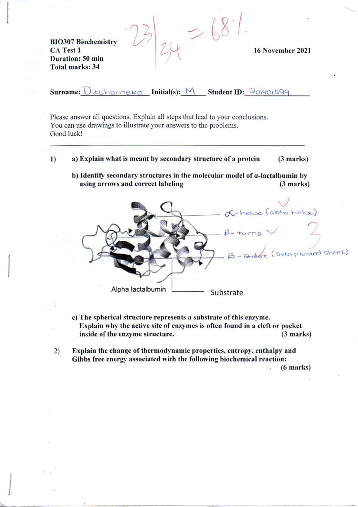 BIO 307 Test 1 Study Guide: Key Concepts in Biochemistry - Studocu