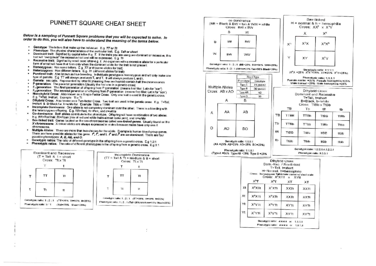 Punnett Square Cheat Sheet for Genetics Problems (BIO 101) - Studocu