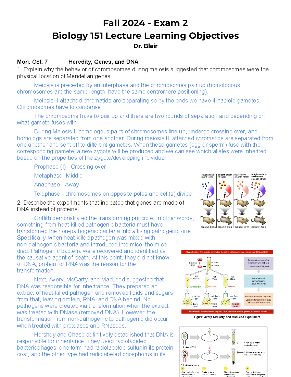 Biology 151: Final Exam Study Guide on DNA and Genetic Mechanisms - Studocu