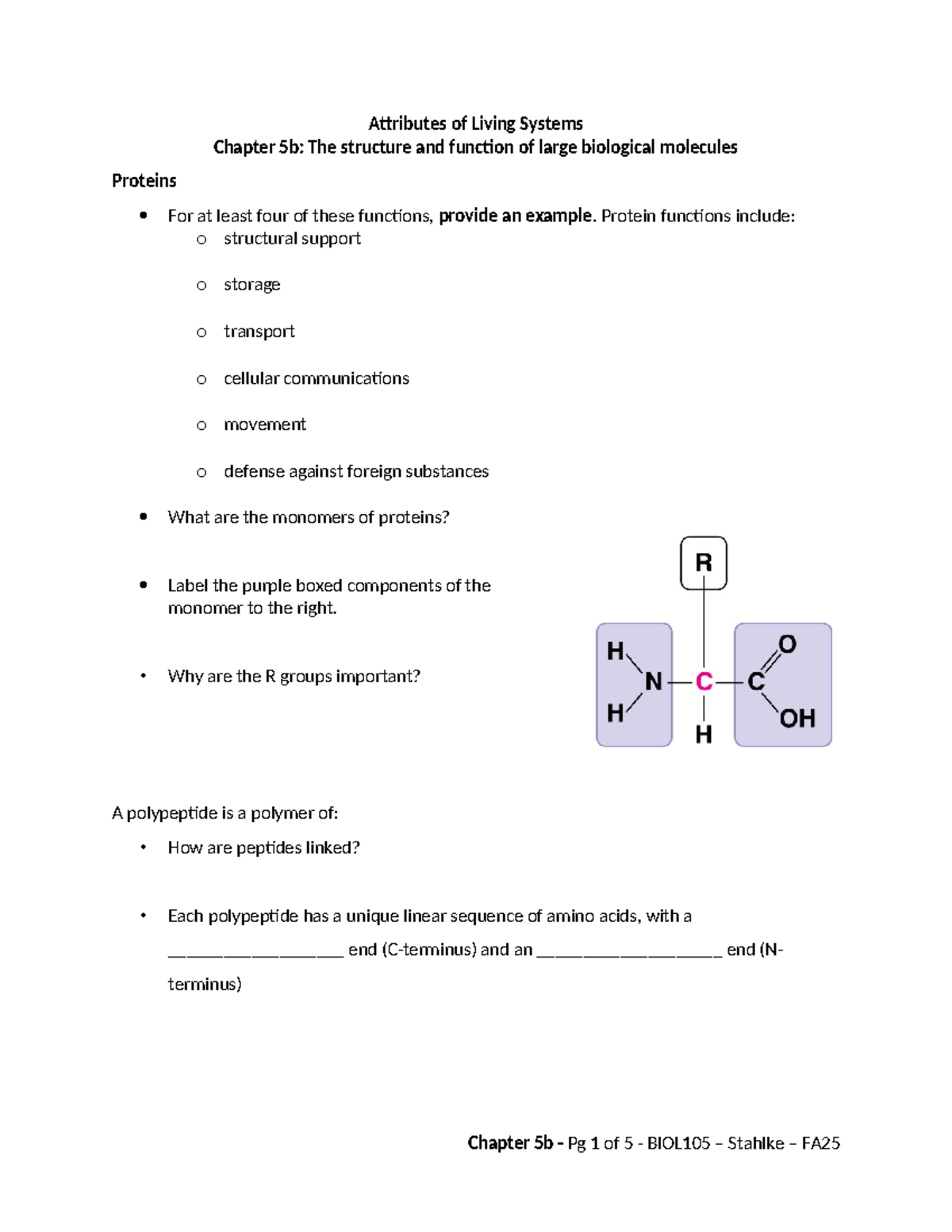 BIOL105 - Chapter 5b: Structure and Function of Proteins - Studocu