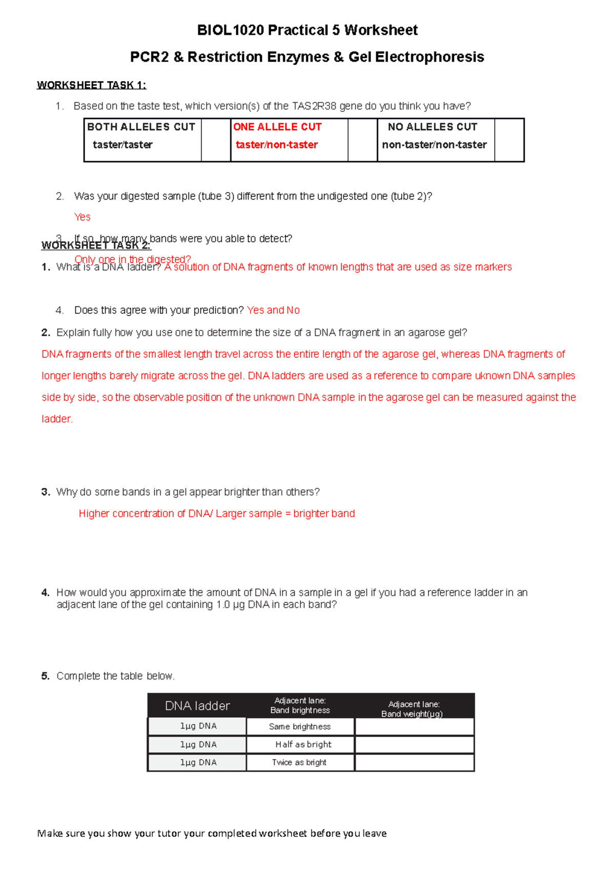 BIOL1020 Practical 5 - PCR & Restriction Enzymes Gel Electrophoresis ...