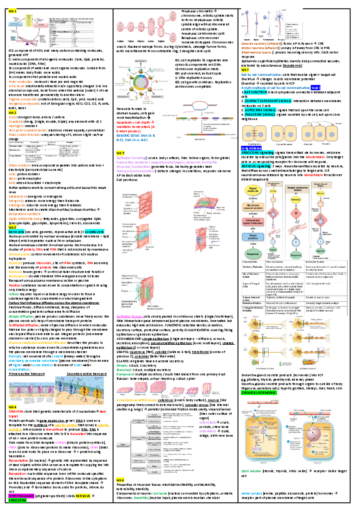 Cheat sheet hubs1403 - Wk 1 O2: component of H20, and many carbon ...