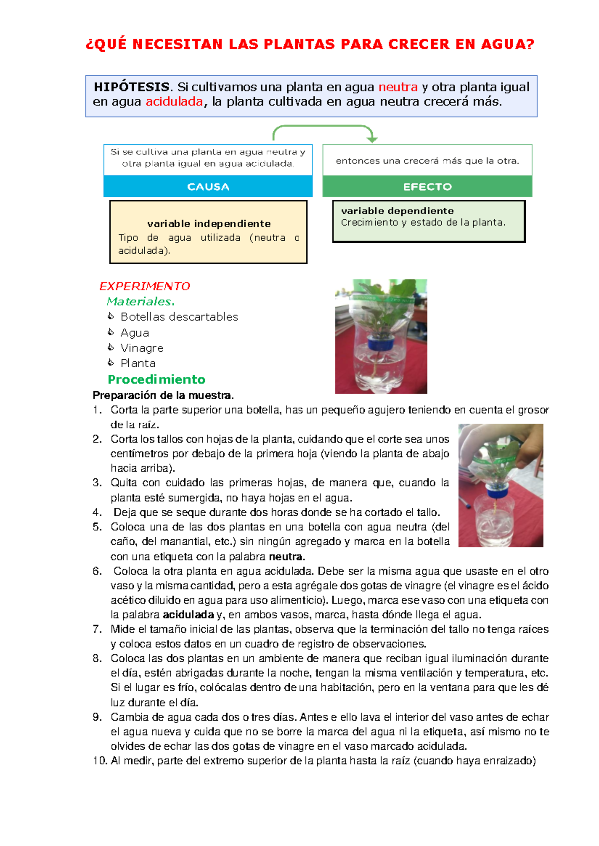 NECESIDADES DE LAS PLANTAS PARA CRECER EN AGUA: HIPÓTESIS EXPERIMENTAL ...