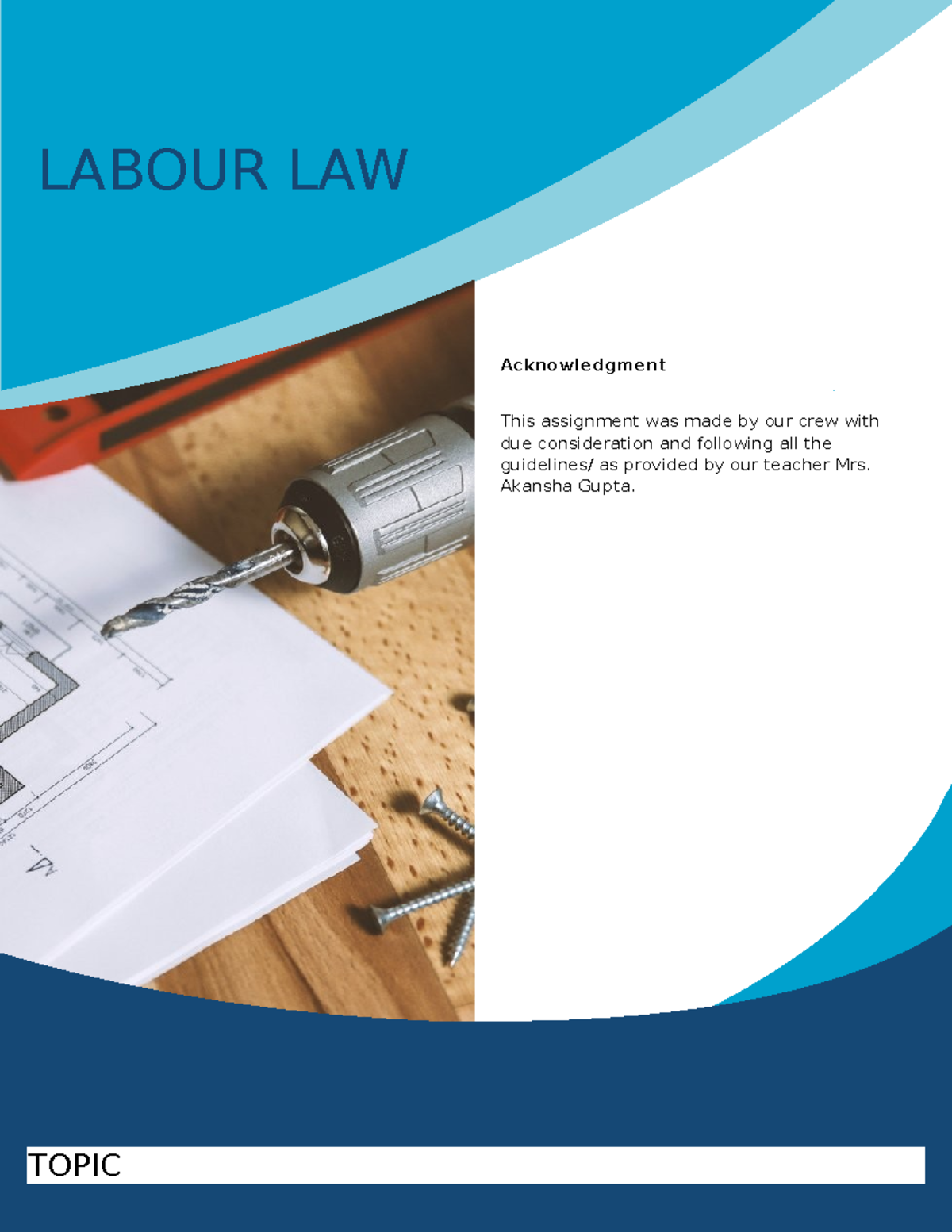 Handy-person newsletter - LABOUR LAW Acknowledgment This assignment was ...