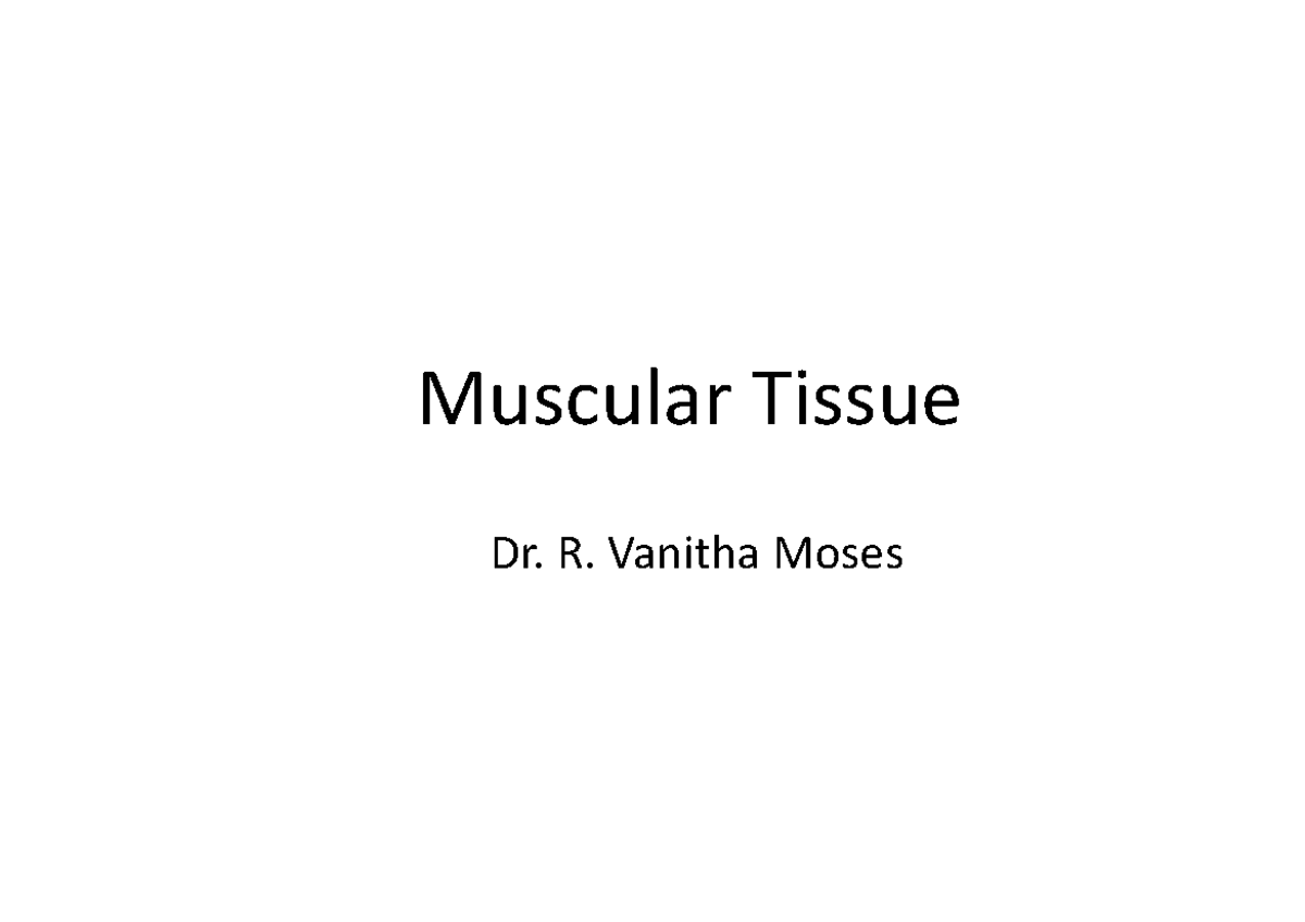 Muscular Tissue Overview: Types, Properties & Functions - Studocu