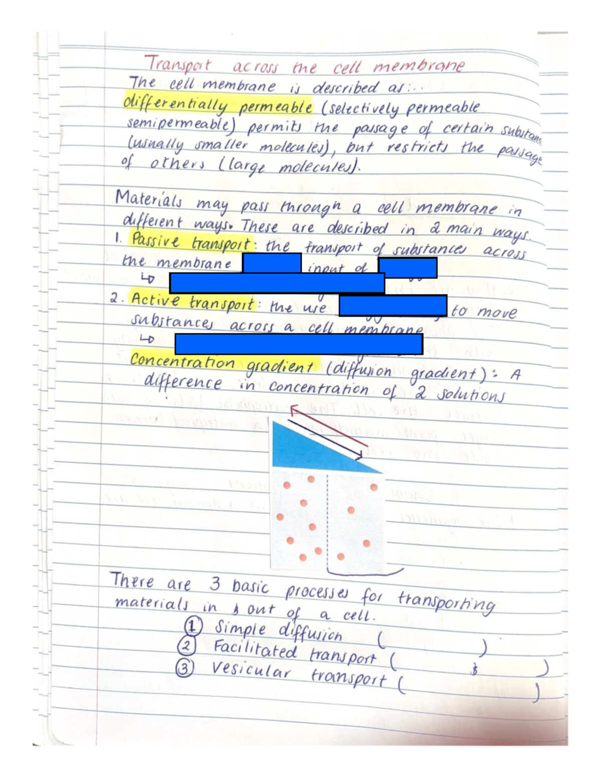 Transport Across the Cell Membrane: Mechanisms and Processes - Studocu
