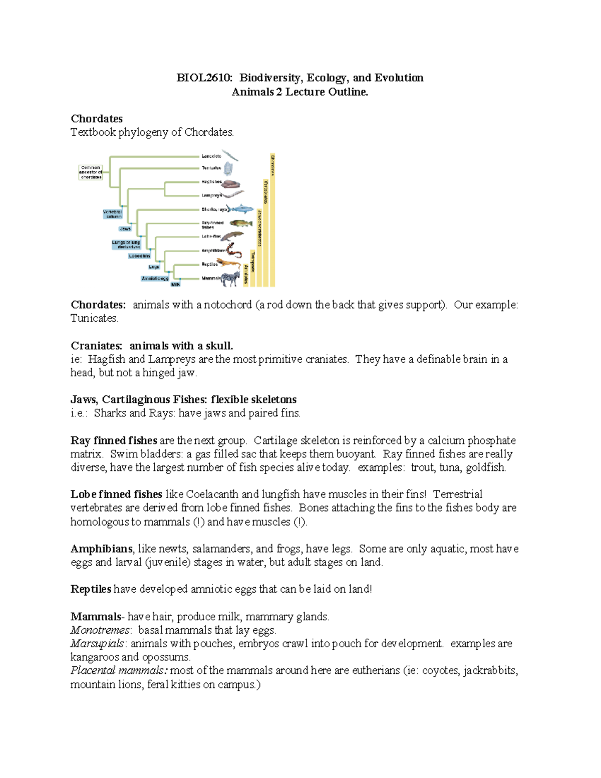 BIOL2610 Final Exam Study Guide: Chordates and Evolutionary Phylogeny ...