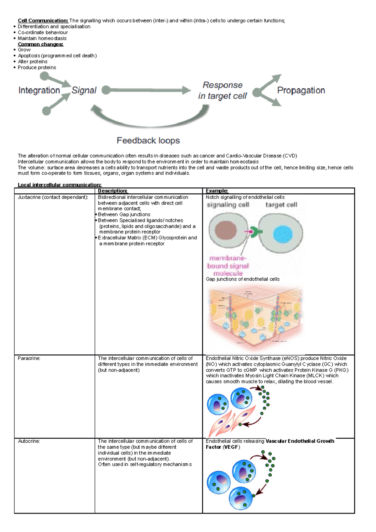 ANAT 241 - Lecture 1 (Cell Communication; General Principles) - Cell ...