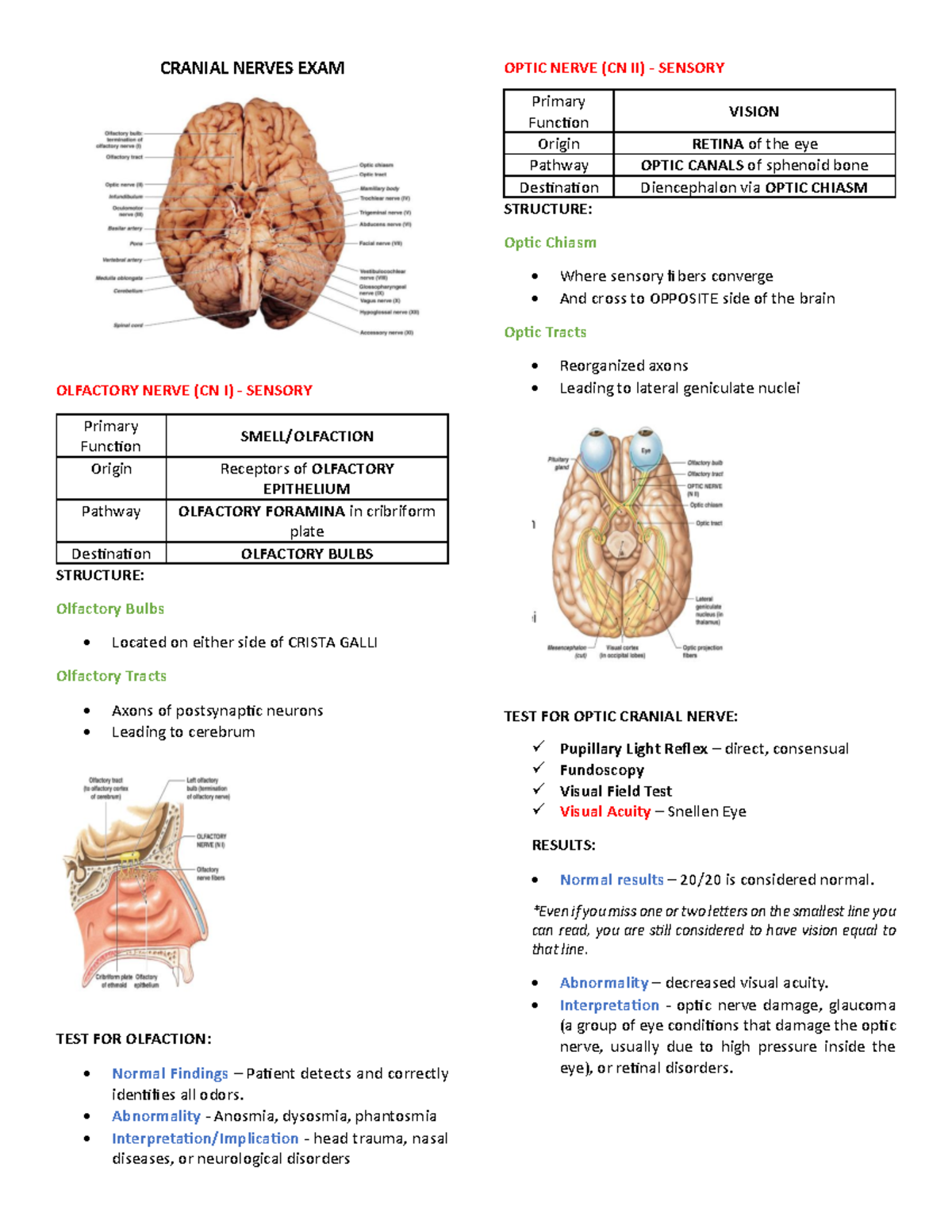 Neurolab Finals Reviewer: Cranial Nerves Overview and Testing - Studocu