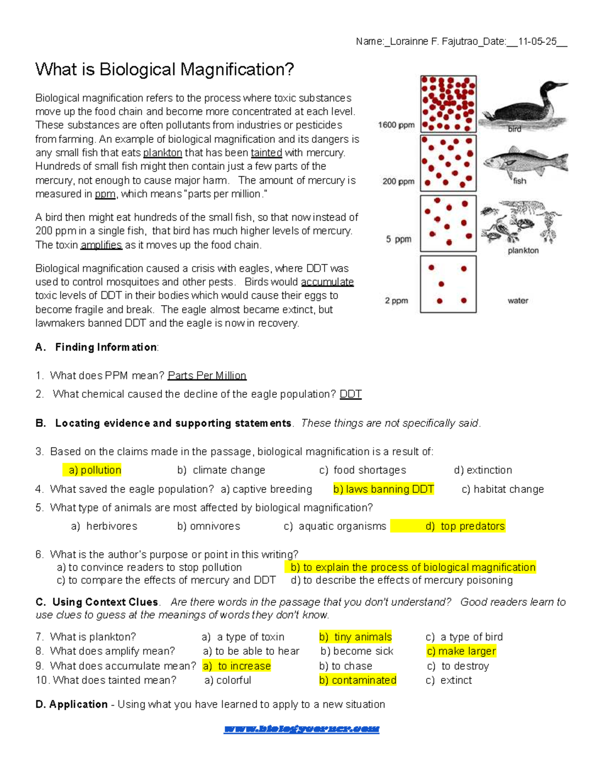 Biological Magnification Explained: Water Pollution Worksheet - Studocu