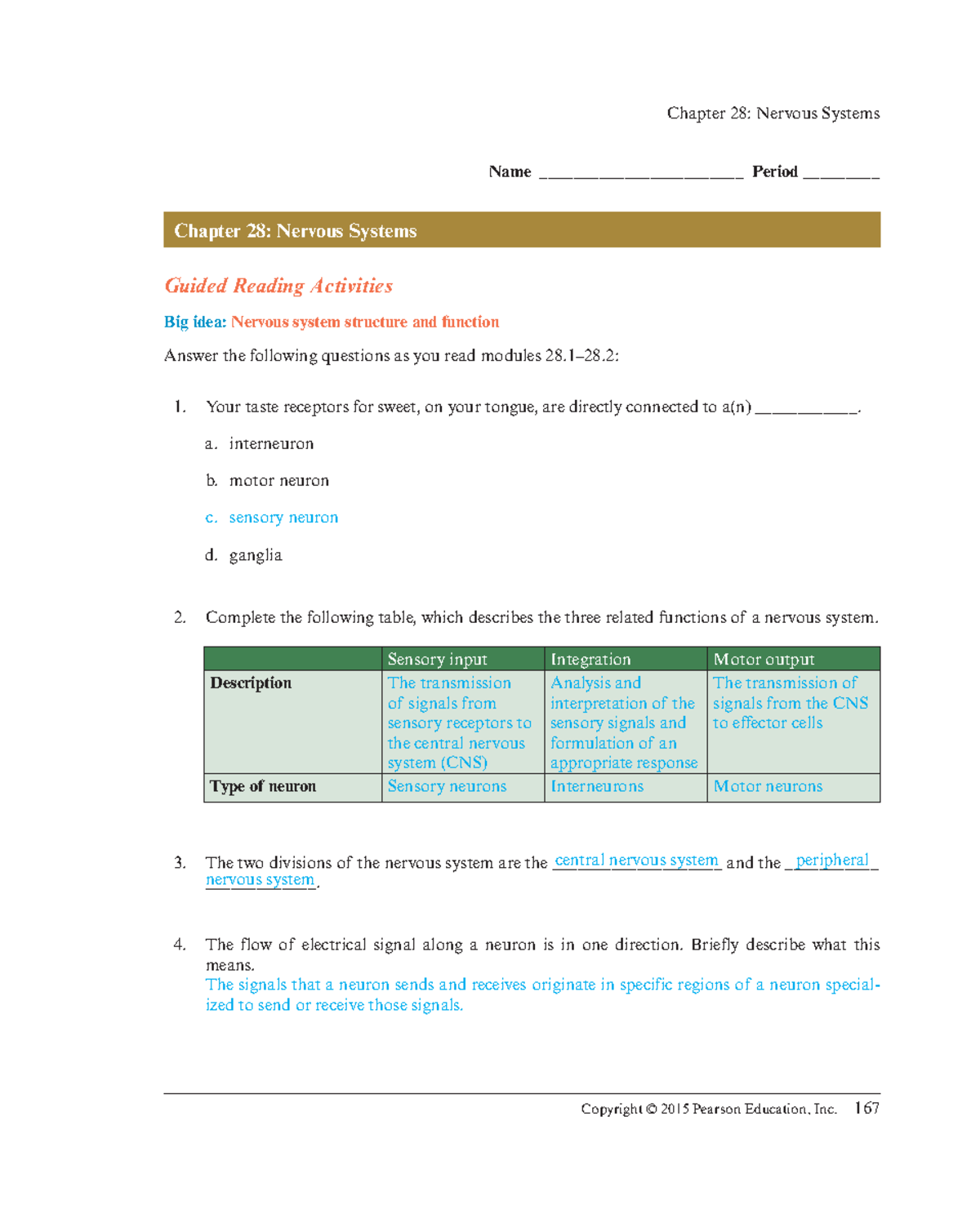 Chapter 28 Guided Reading Activity Answers: Nervous Systems Essentials ...