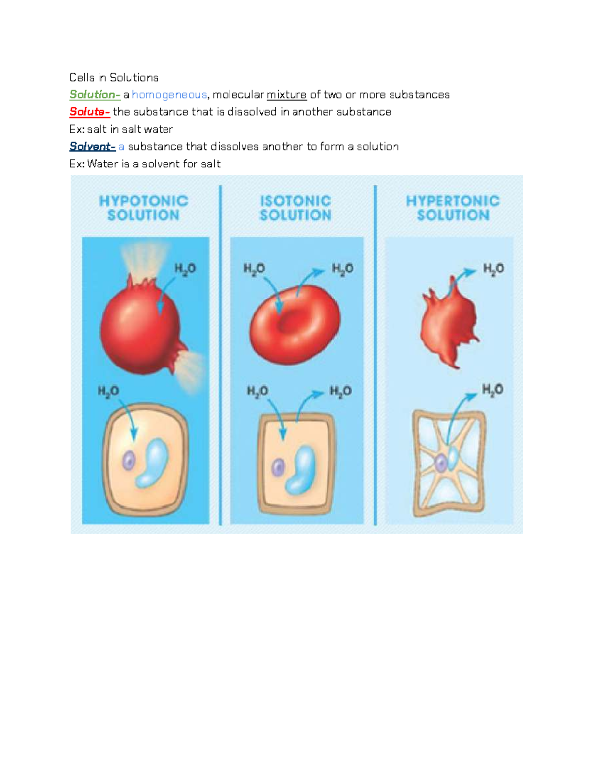 Cells in Solutions: Homogeneous Mixtures and Their Components - Cells ...