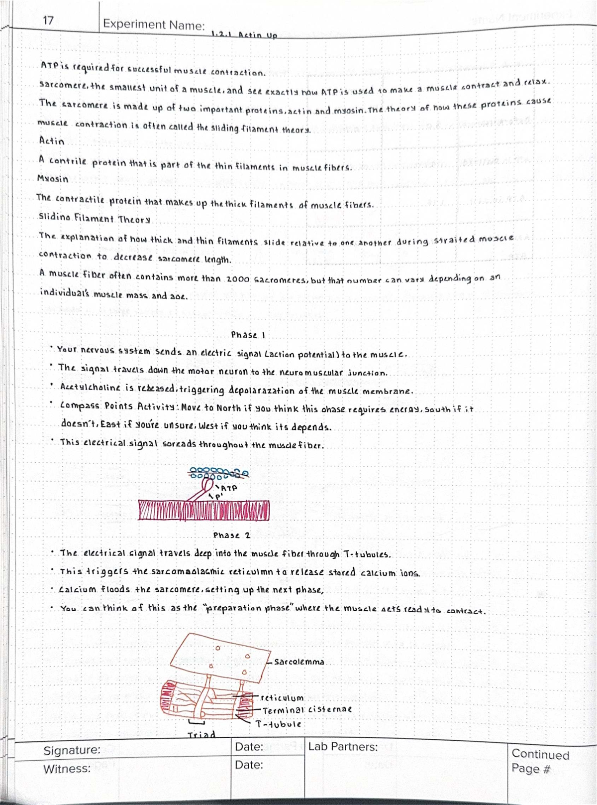 Research Methods in Psychology: PSY 301 Lecture Notes on Muscle ...