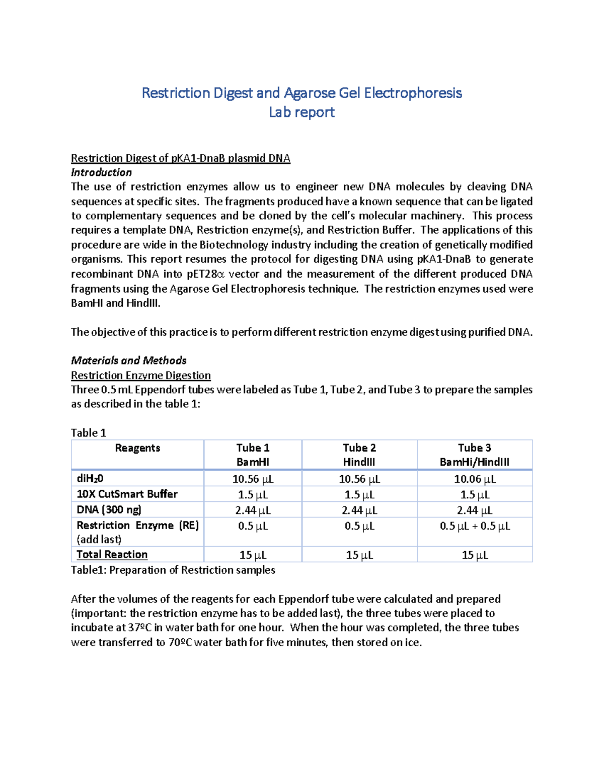 Report Restriction Digest - Restriction Digest and Agarose Gel ...