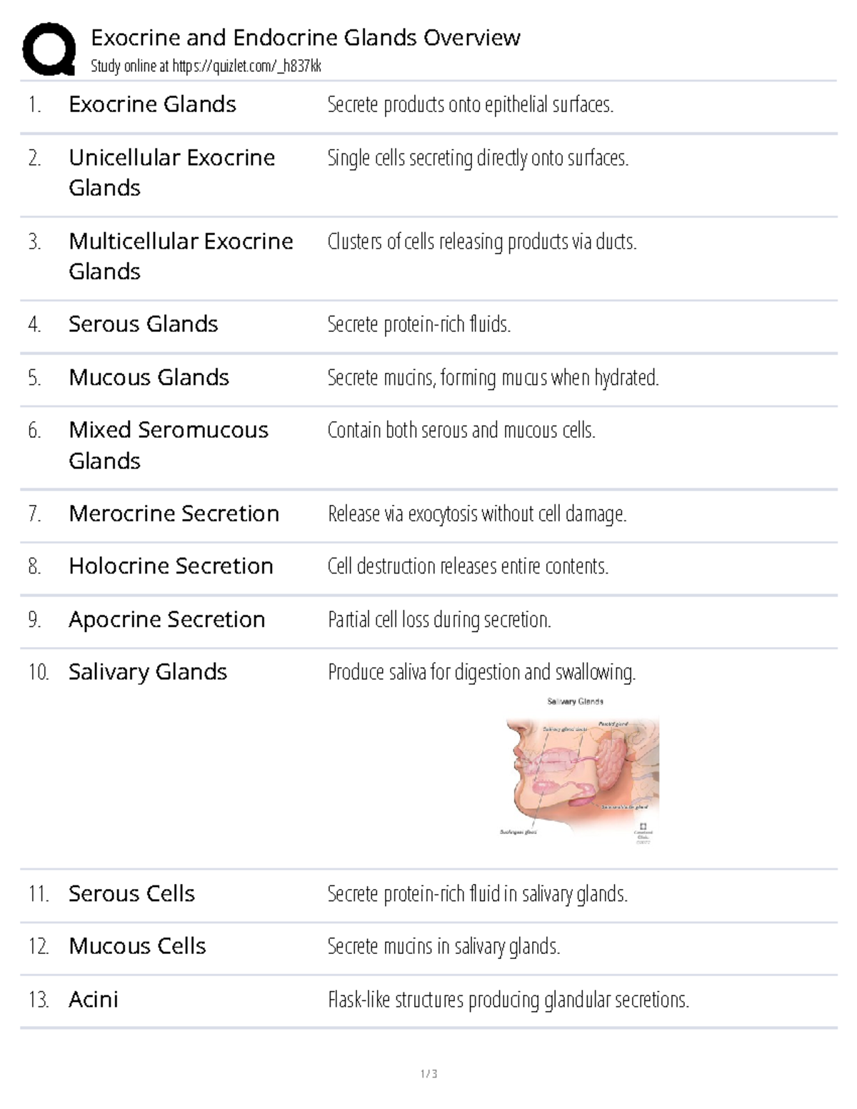 Exocrine and Endocrine Glands Overview Study Guide (BIO 101) - Studocu