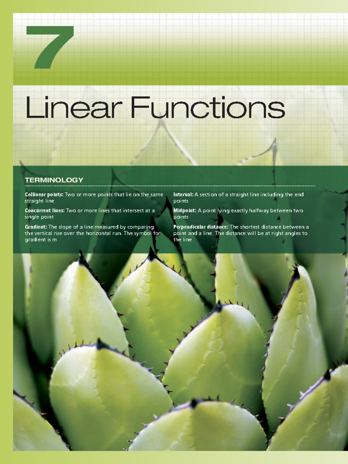 Ch7 Maths in Focus: Exploring Linear Functions Concepts - Studocu