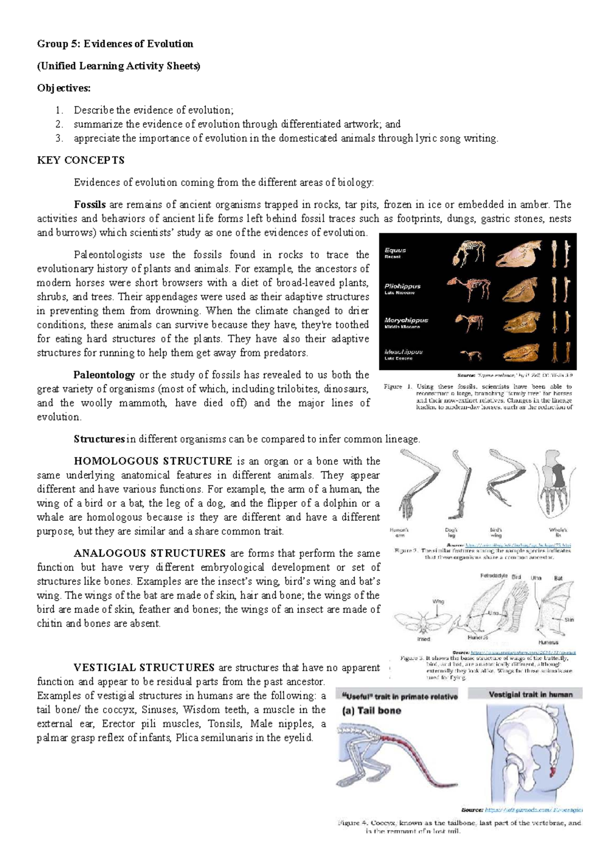 General Biology 2 Notes - Group 5: Evidences of Evolution (Unified ...