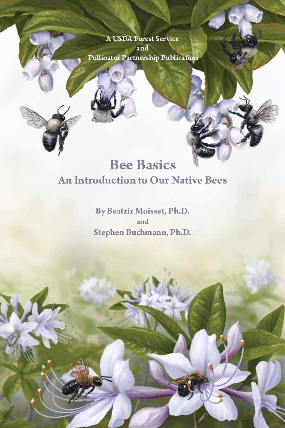 Bee Basics: A Guide to North American Native Bee Identification - Studocu