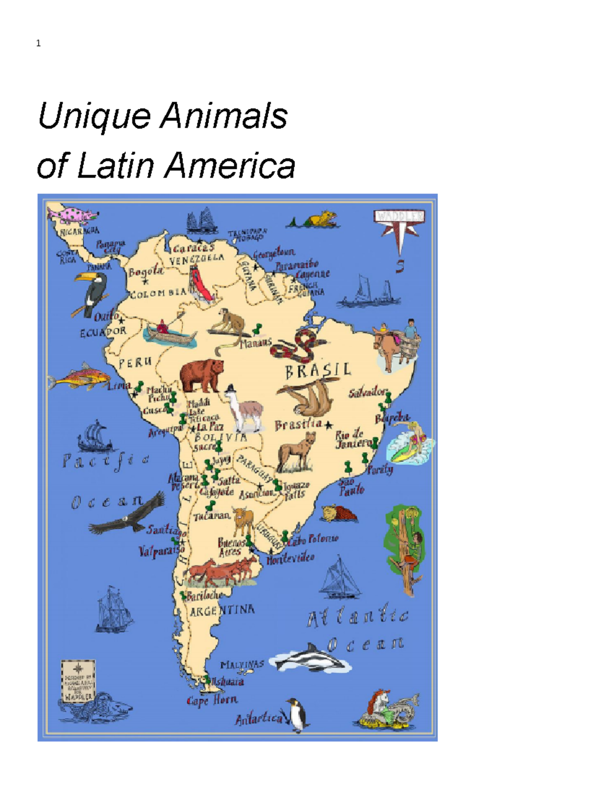 Unique Animals of Latin America: A Study of Biodiversity - Studocu