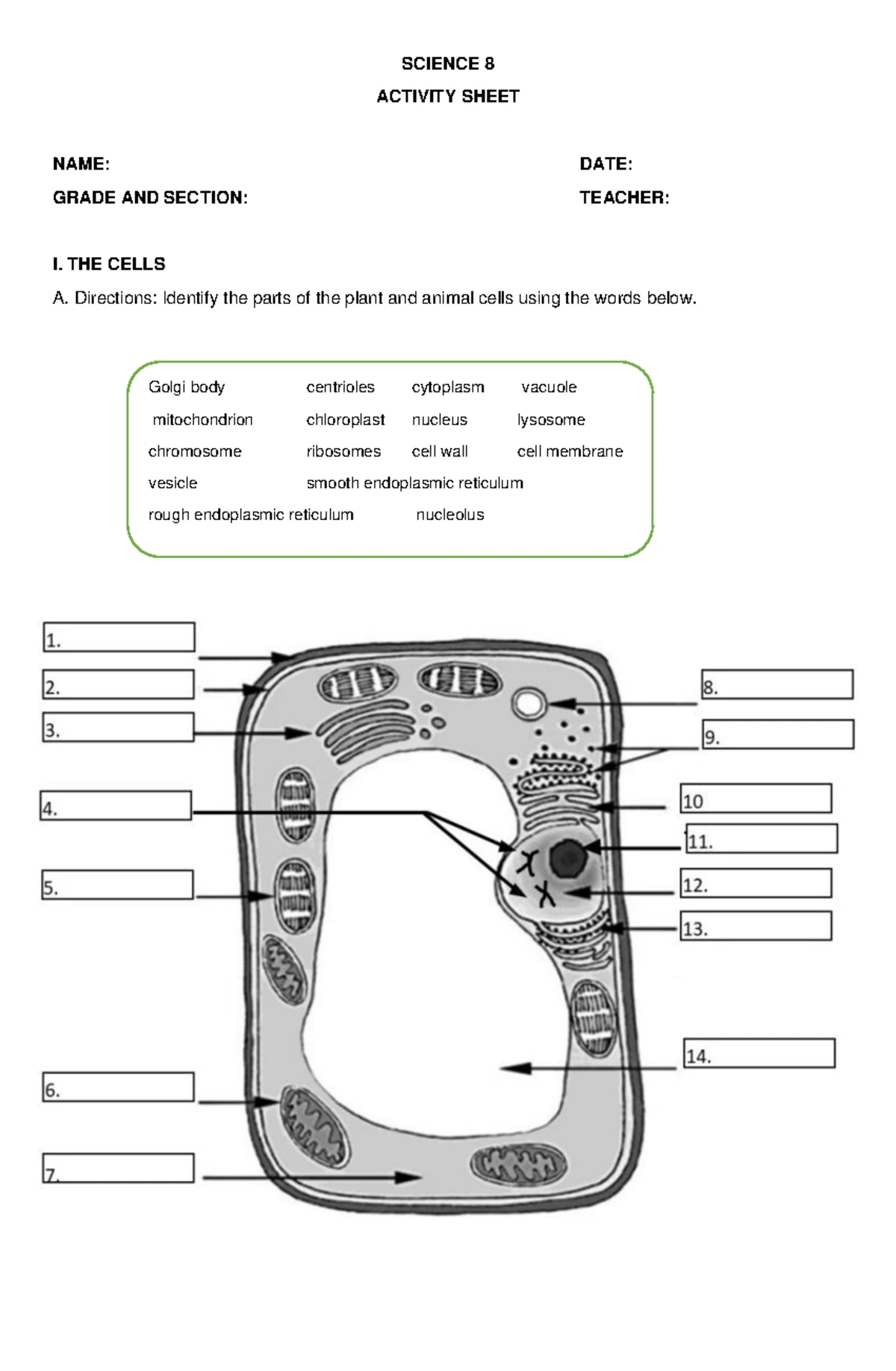 Science 8 - Activity Sheet 1: Understanding Cells & Meiosis - Studocu