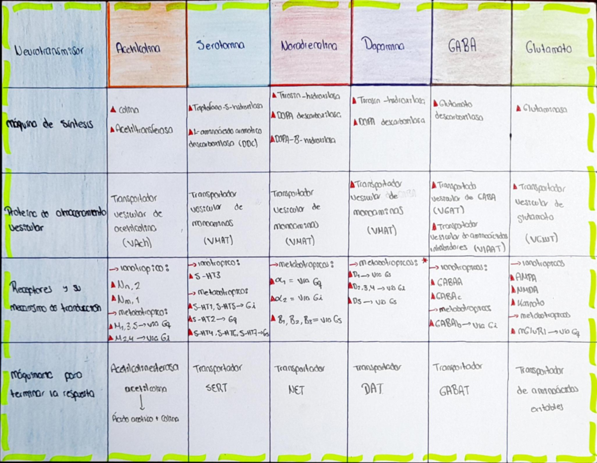 Tabla de sinapsis química - VJJE Study Notes - Studocu