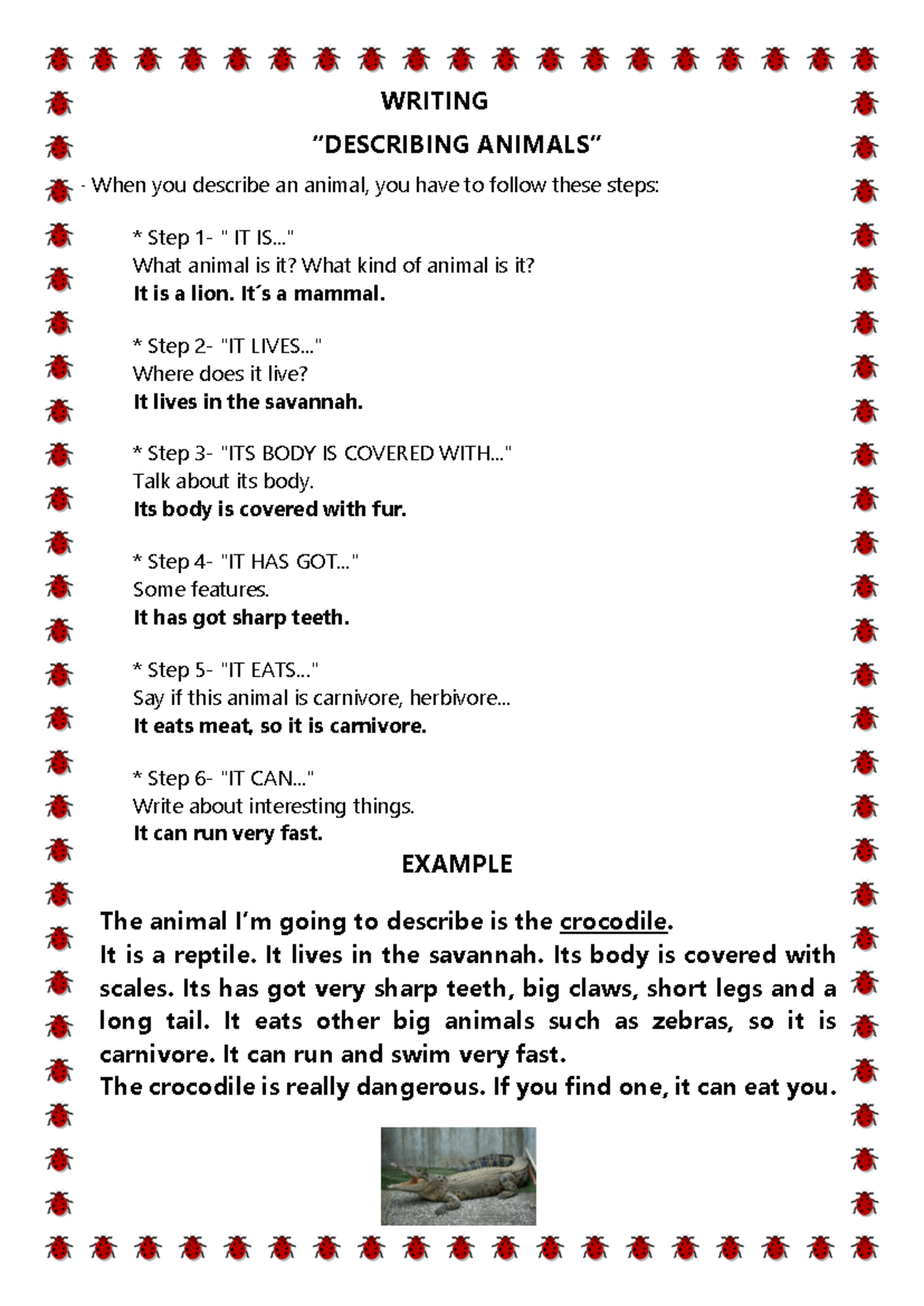 Describing Animals: A Guide to Animal Characteristics and Habitats ...