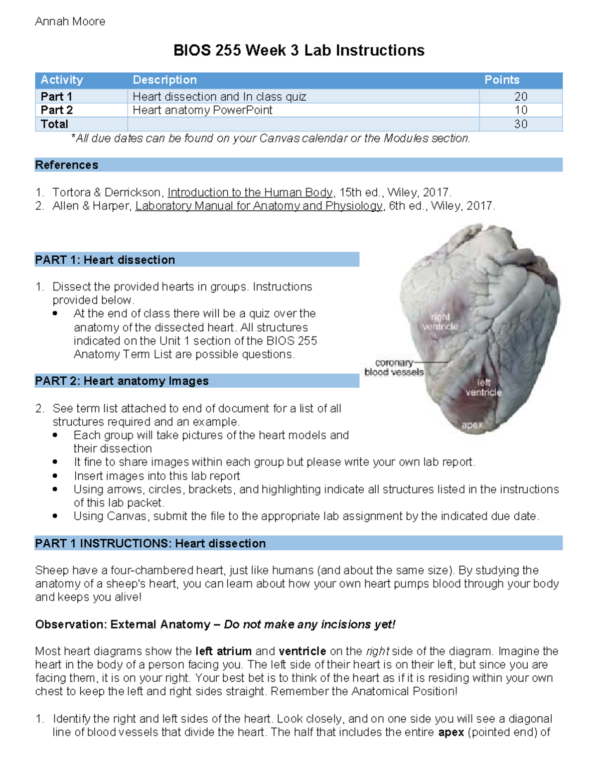 BIOS 255 Week 3 Heart Dissection Lab Instructions & Quiz Guide - Studocu
