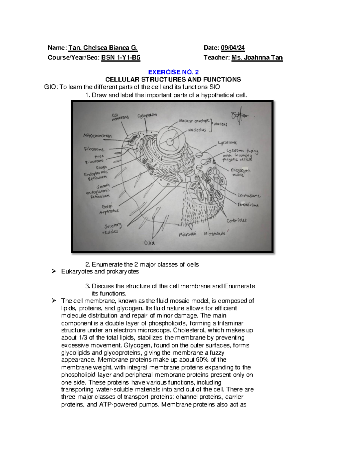 TAN - Week 2 Lab Exercise: Cell Structures & Functions in Physiology - Studocu