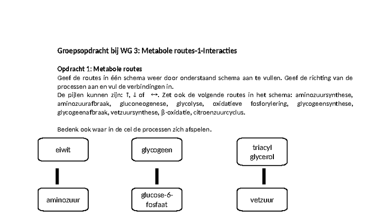 Groepsopdracht WG 3: Metabole Routes en Procesanalyse - Studeersnel