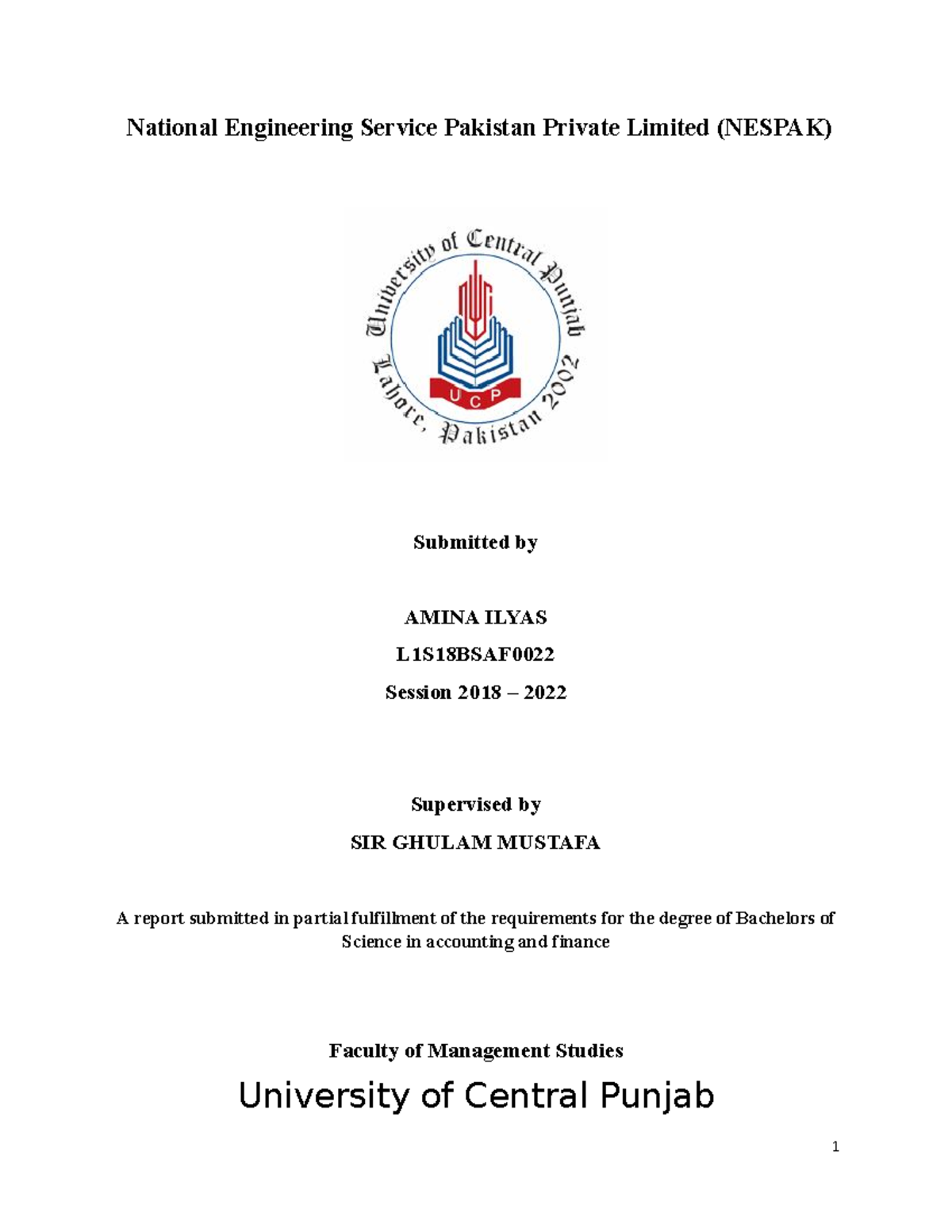 BSAF-302: Report on National Engineering Services Pakistan (NESPAK ...