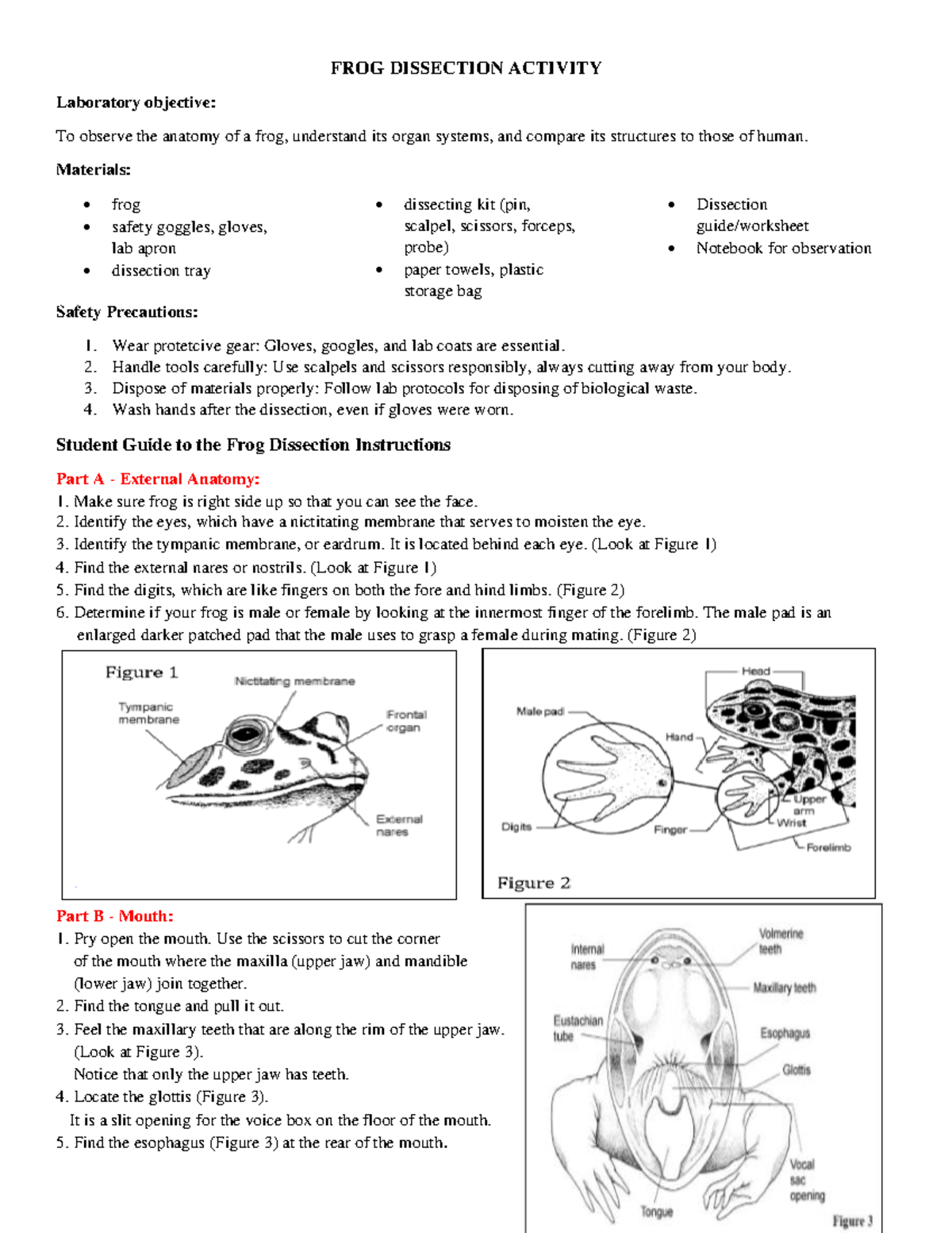 STEM 101: Frog Dissection Activity Guide and Instructions - Studocu