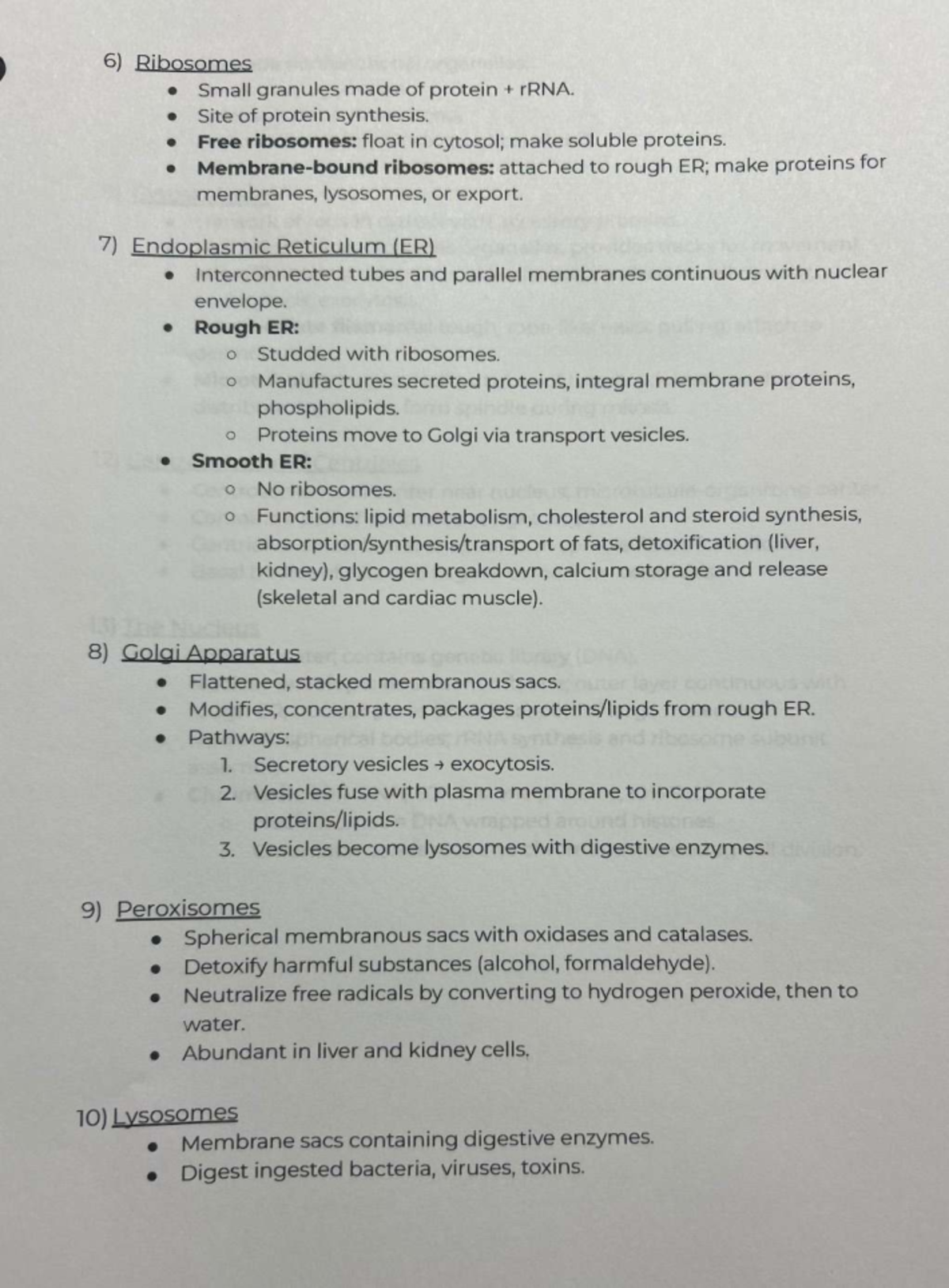 Analysis of Key Concepts in Cell Biology - Lecture Notes - Studocu