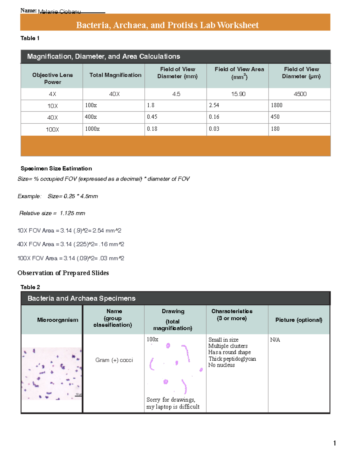 Bio182-02 - Bacteria, Archaea, and Protists Lab Worksheet - Studocu