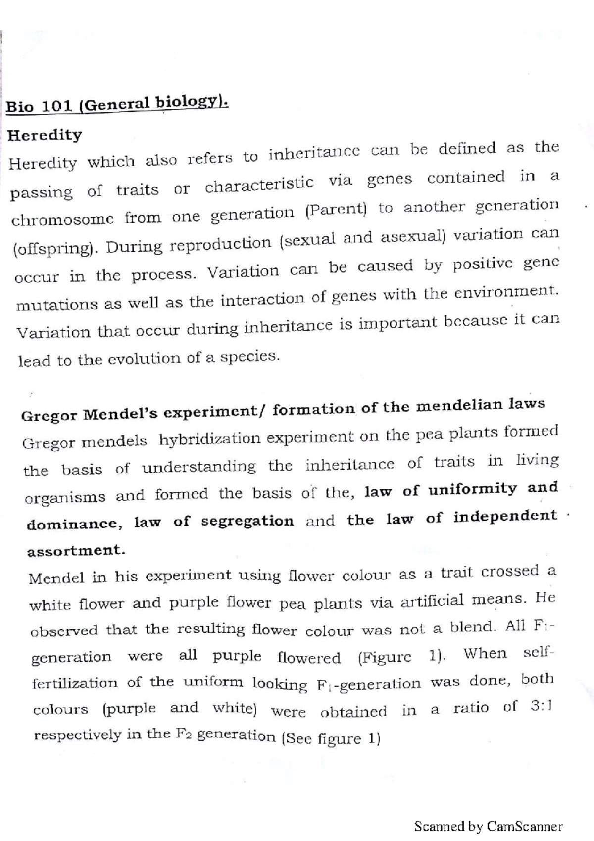 BIO 101 Final Exam: Heredity and Mendelian Genetics Notes - Studocu