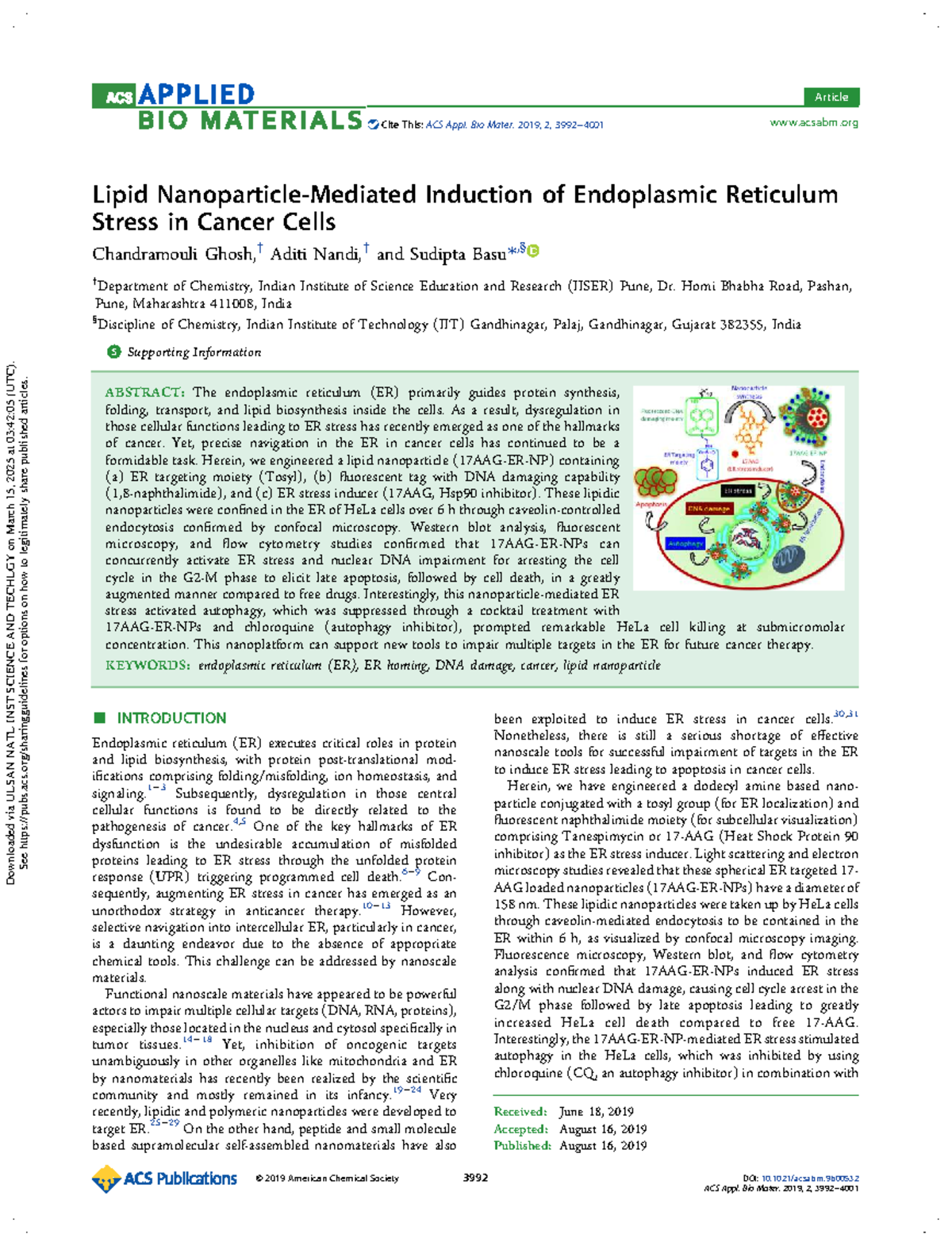 Lipid Nanoparticle-Induced ER Stress in Cancer Cells: ACS Appl. Bio ...