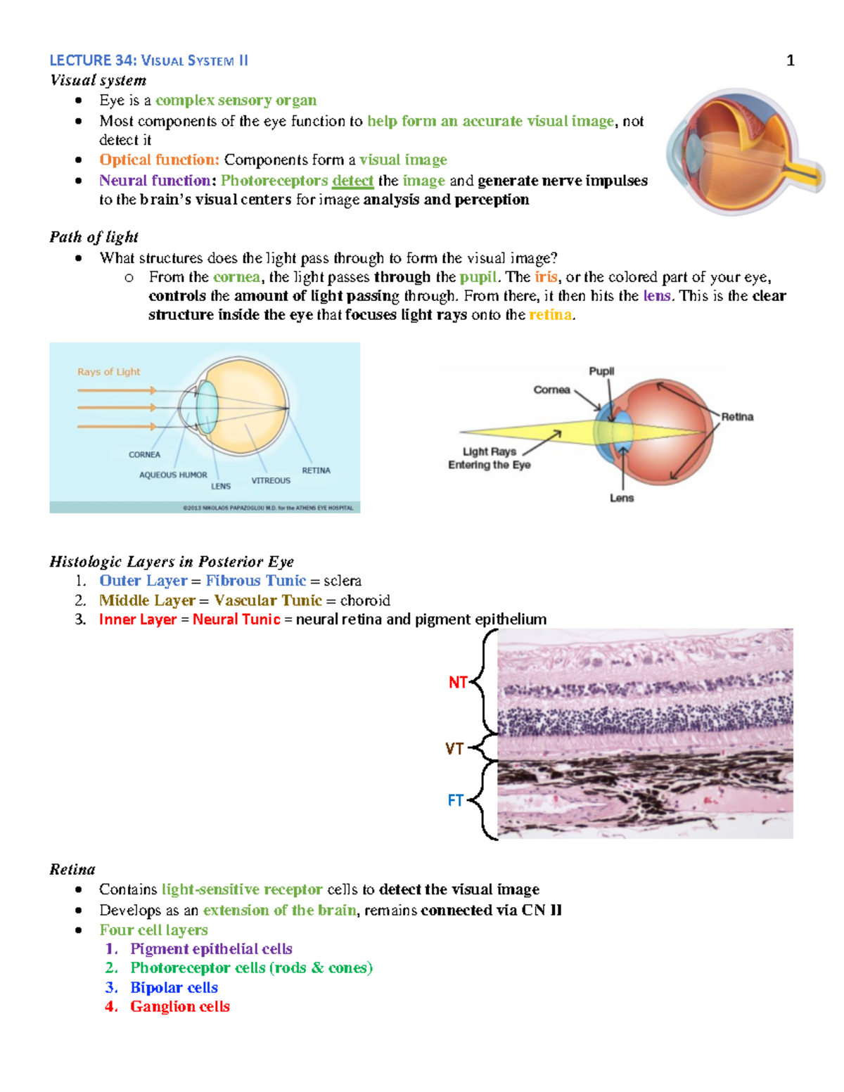 Lecture 34- Visual System II - Visual system - Eye is a complex sensory ...