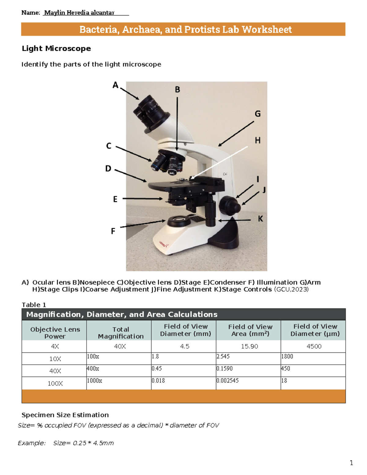 Bacteria, Archaea, and Protists Lab Worksheet (GCU, 2023) - Studocu