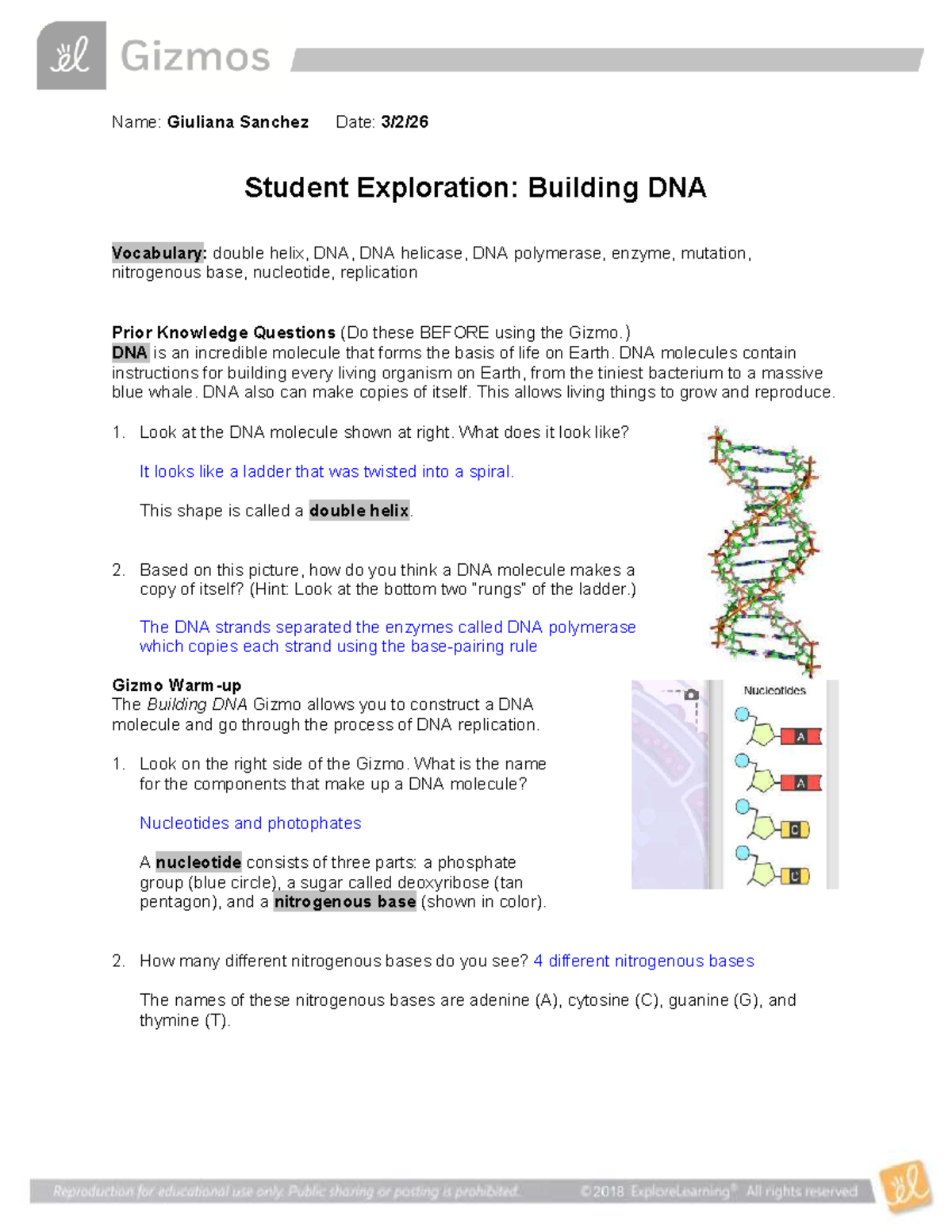Building DNA: Key Concepts and Replication Process (Bio 101) - Studocu