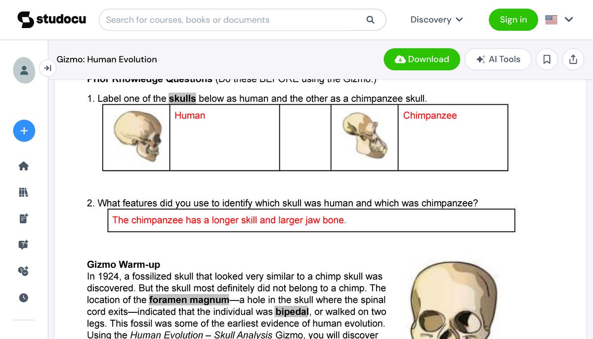 Gizmo Human Evolution: Skull Analysis & Environment Quality Assessment ...