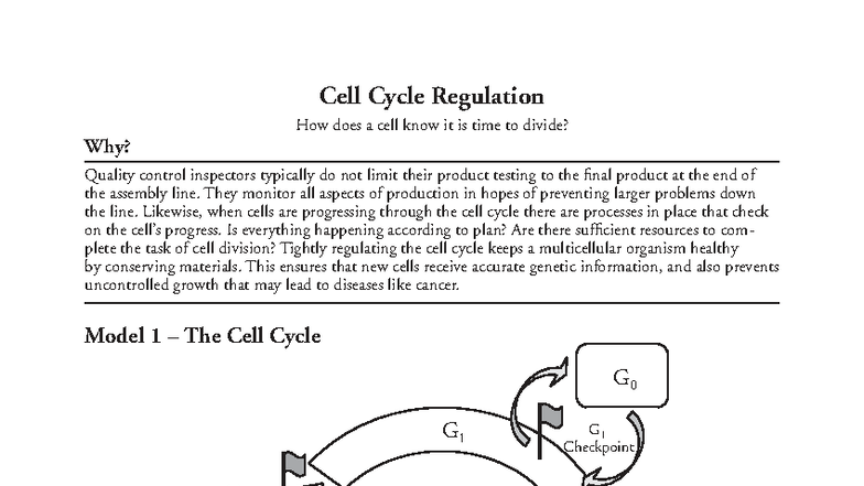 Cell Cycle Regulation: Understanding Checkpoints and Control (Bio 101 ...