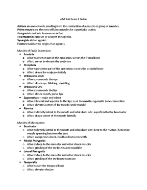 Exam 1 Notes - AHS 131 Exam 1 Notes Retyped Anatomy is the study of ...