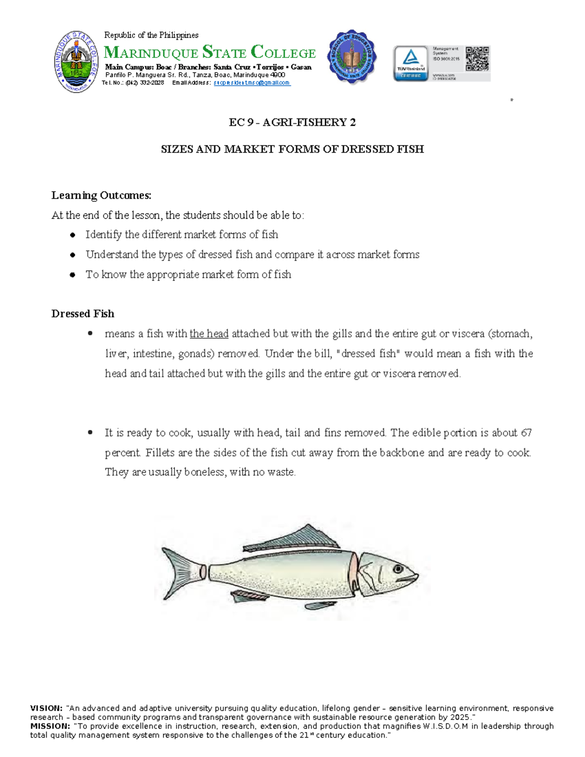 EC 9 - AGRI-FISHERY 2: Sizes and Market Forms of Dressed Fish - Studocu