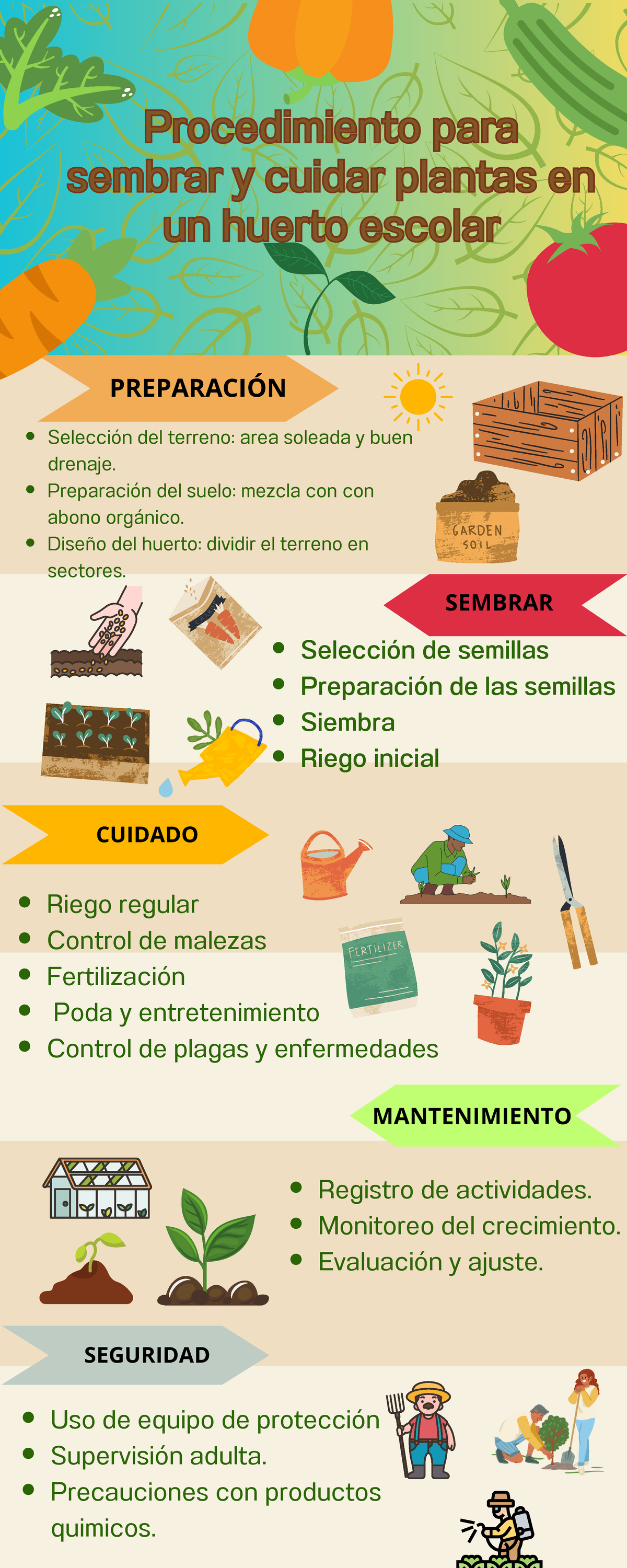 Pasos Ilustrados Para El Diseño De La Plantación De Un Huerto