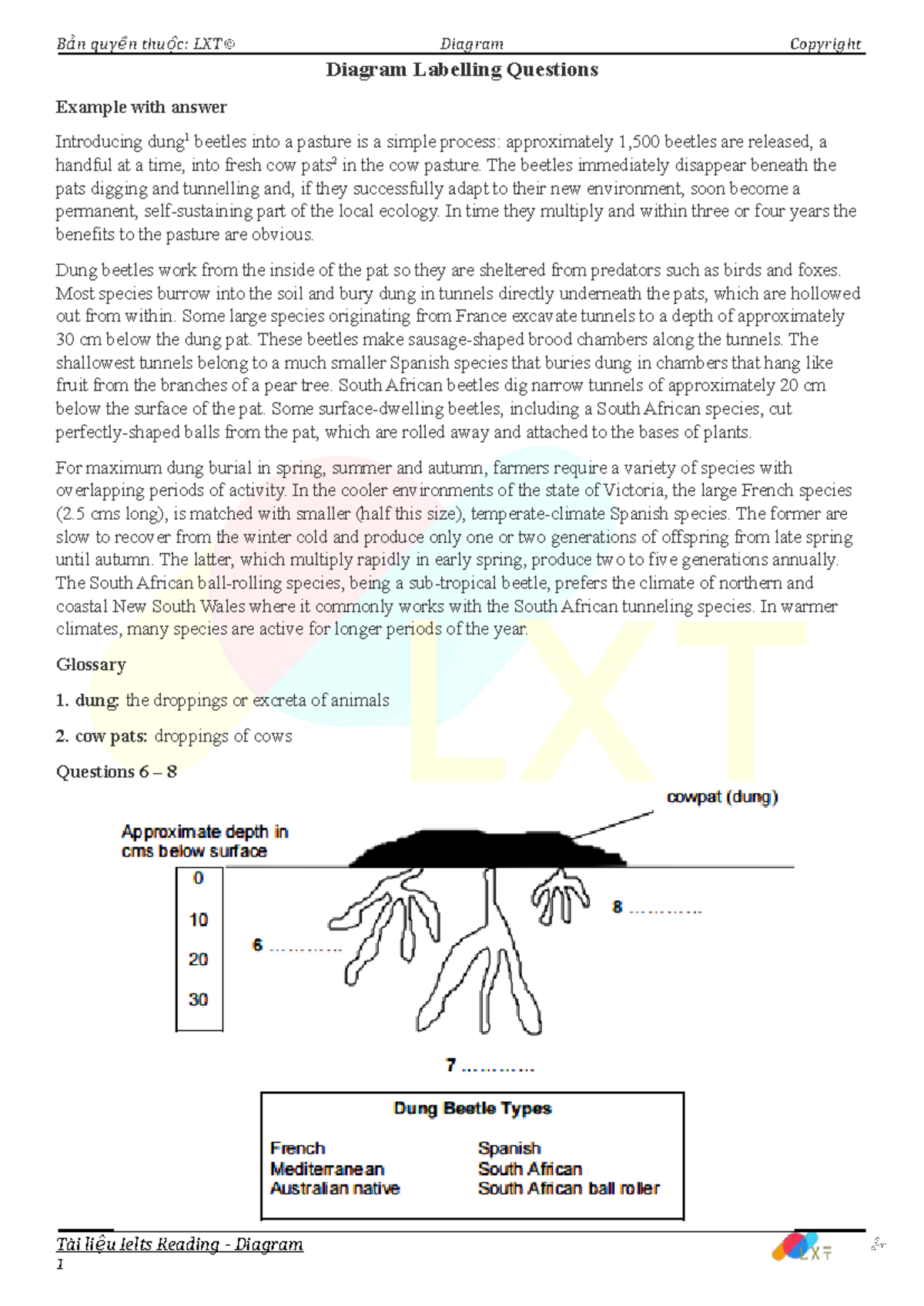 Ielts Reading Diagram: Dung Beetles & Chemical Experiments - Studocu