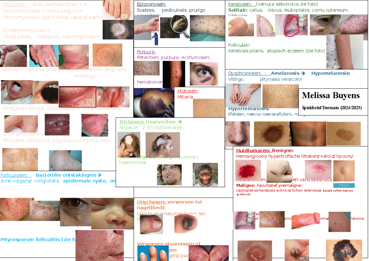 Spiekbrief dermato - school - c Mycosen: door dermatofyten ...