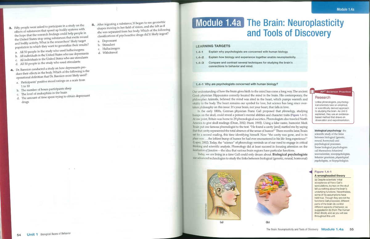 Module 1.4a: Neuroplasticity and Psychoactive Substances Study Guide ...